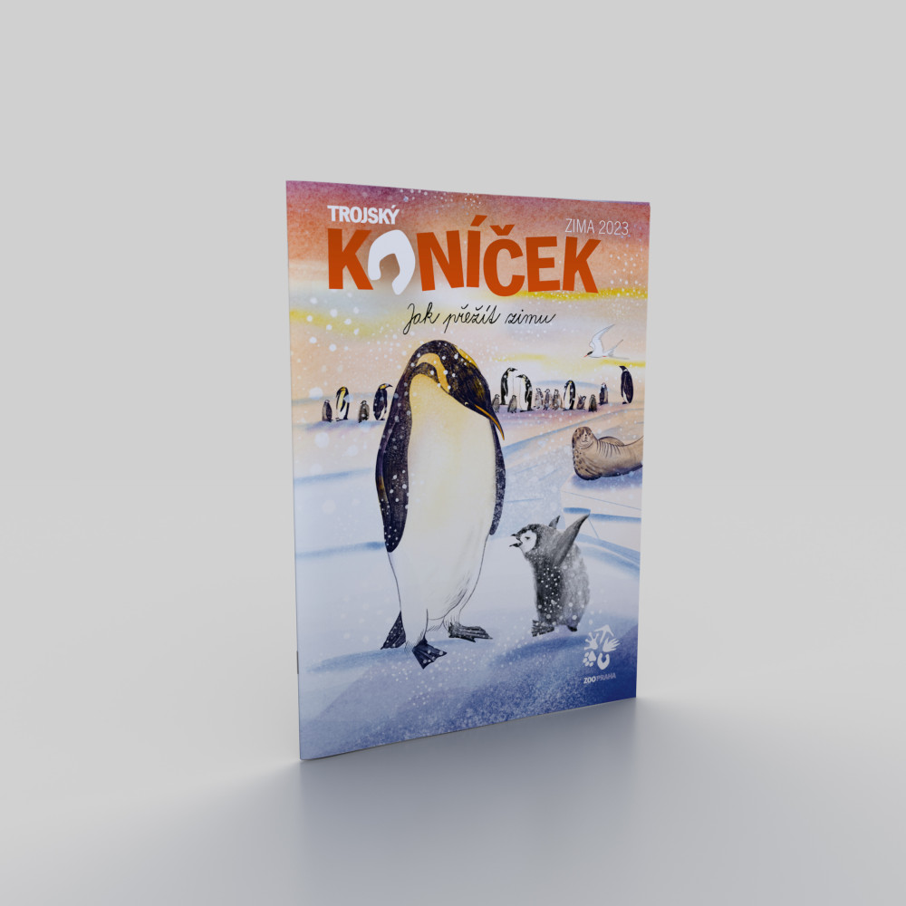 Trojský koníček - Jak přežít zimu