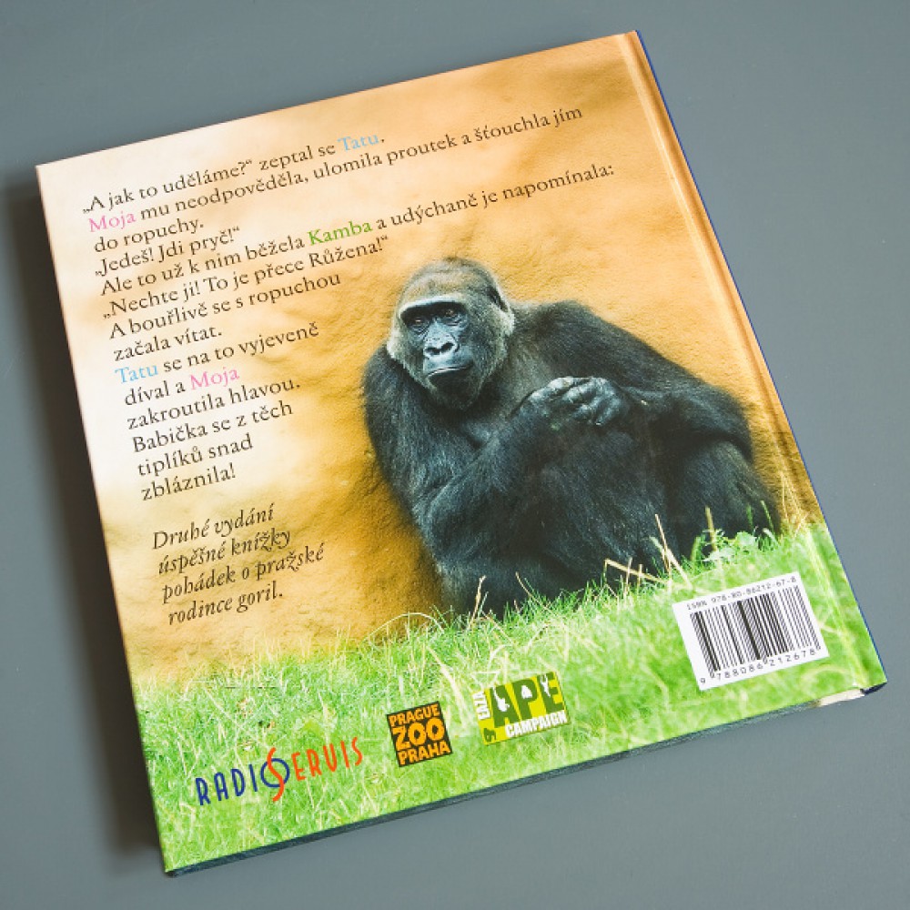 Moja, Tatu a tiplíci