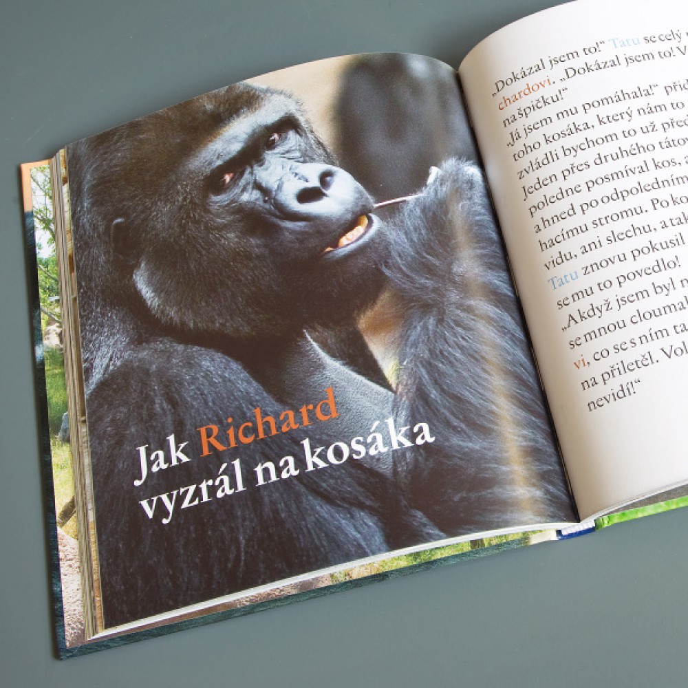 Moja, Tatu a tiplíci